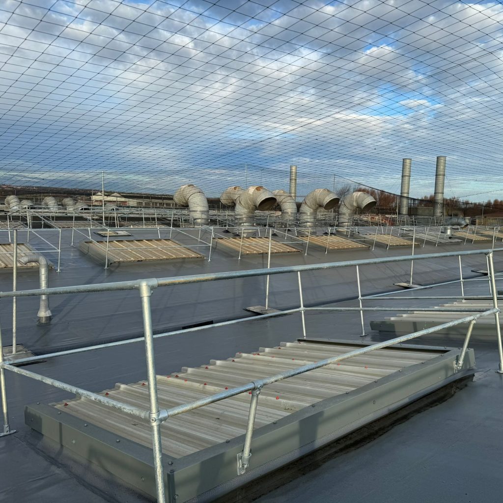 Bird Netting Installation • UK Wide Bird Proofing • Invicta