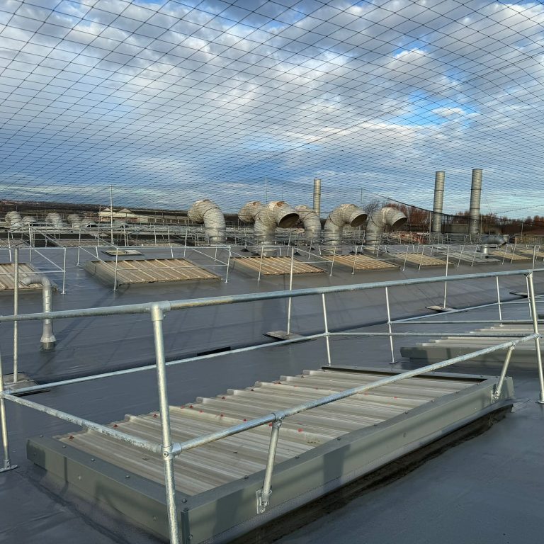 Bird Netting Installation • UK Wide Bird Proofing • Invicta