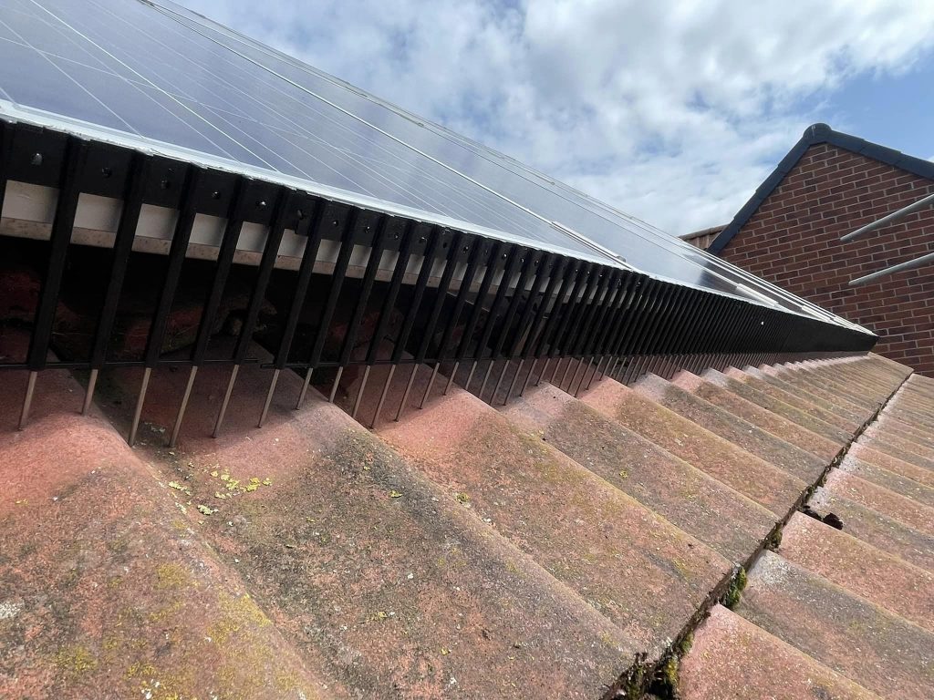 Pigeon Proofing Solar Panels North East | Protect Your Solar Investment ...
