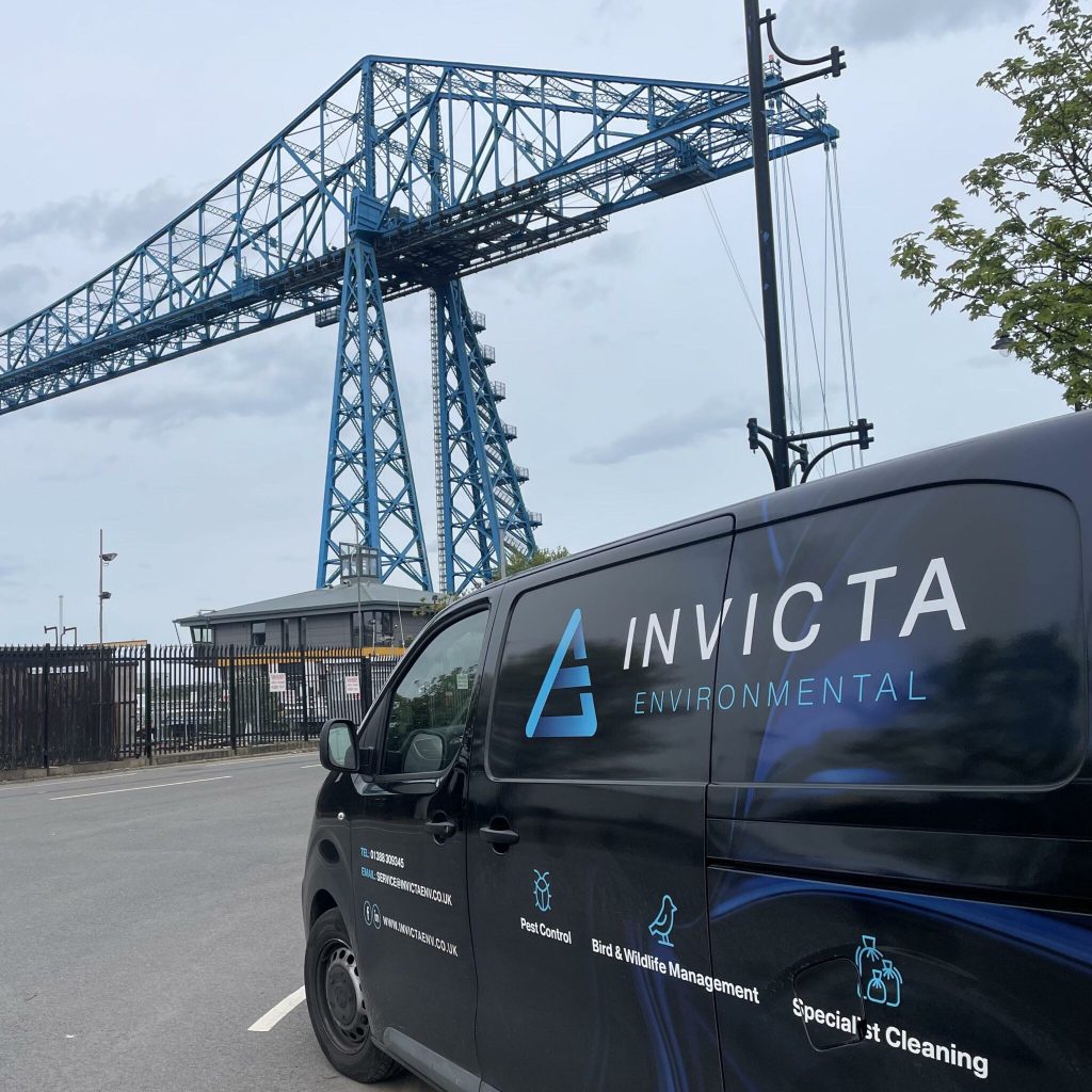 Pest Control Middlesbrough • 100% First Time Success • Invicta ...